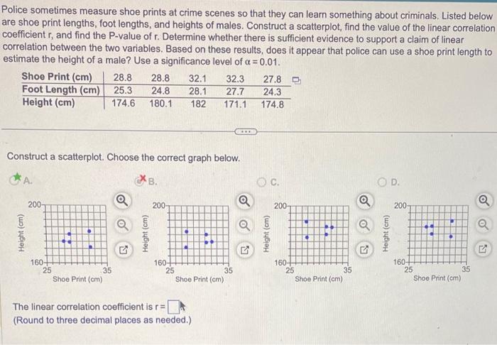 Solved Police sometimes measure shoe prints at crime scenes | Chegg.com