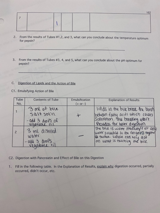 EXERCISE 5 PHYSIOLOGY OF DIGESTION LAB REPORT A. | Chegg.com