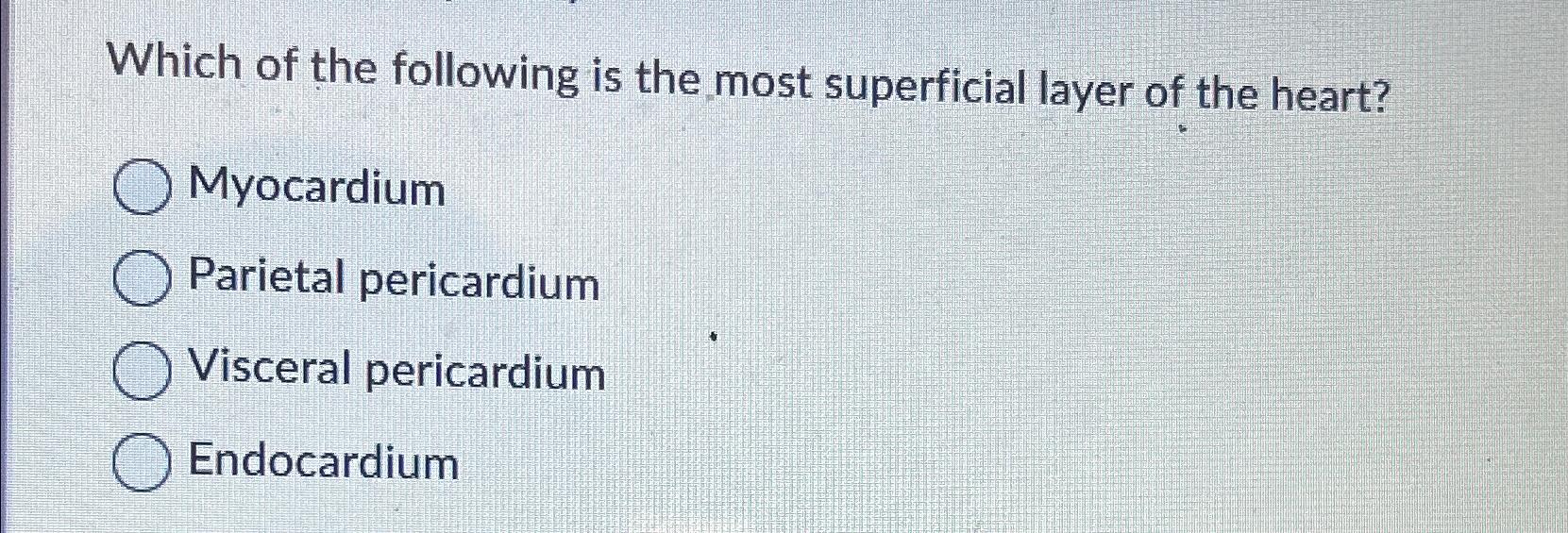 Solved Which of the following is the most superficial layer | Chegg.com