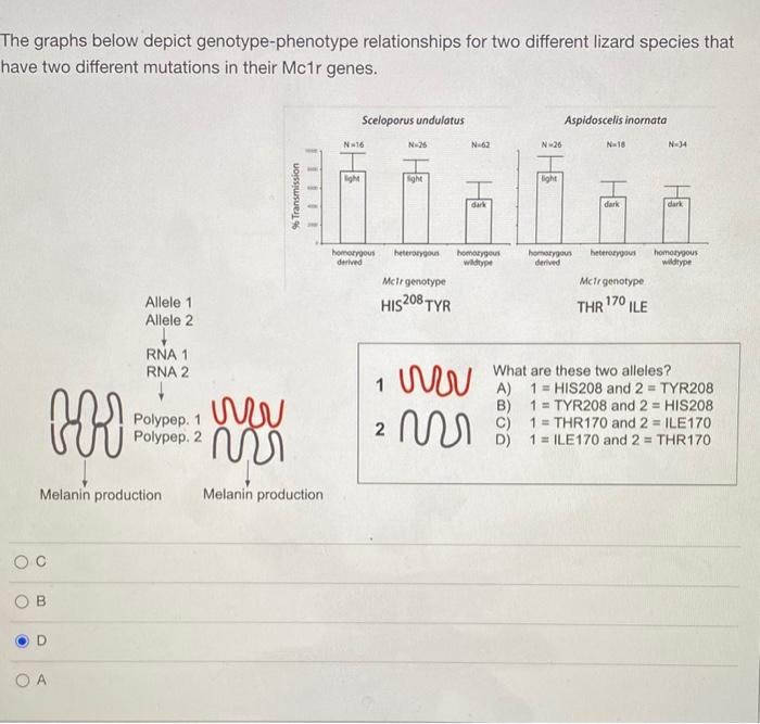 The graphs below depict genotype-phenotype | Chegg.com