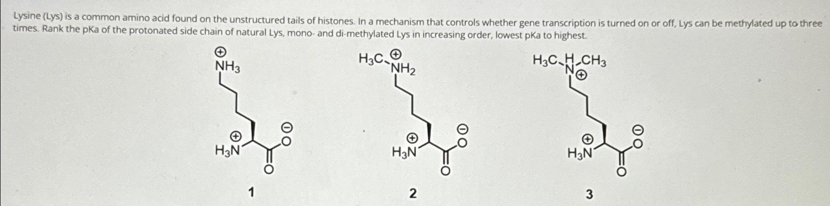 Solved Lysine (Lys) ﻿is a common amino acid found on the | Chegg.com