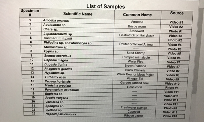 Solved Source Specimen # 1 2 3 5 6 7 8 9 10 11 12 13 14 15 | Chegg.com