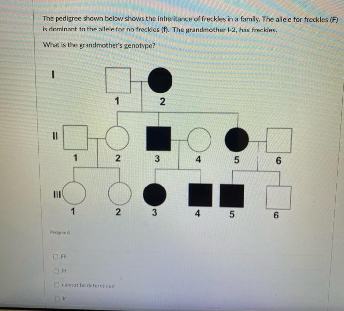 Solved The pedigree shown below shows the inheritance of | Chegg.com