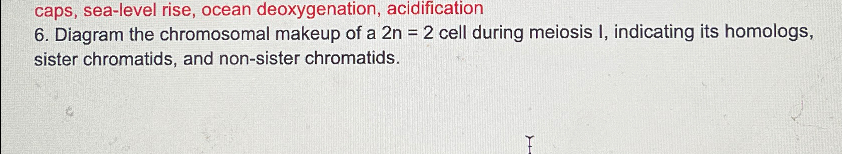 Solved 6. ﻿Diagram the chromosomal makeup of a 2n=2 ﻿cell | Chegg.com