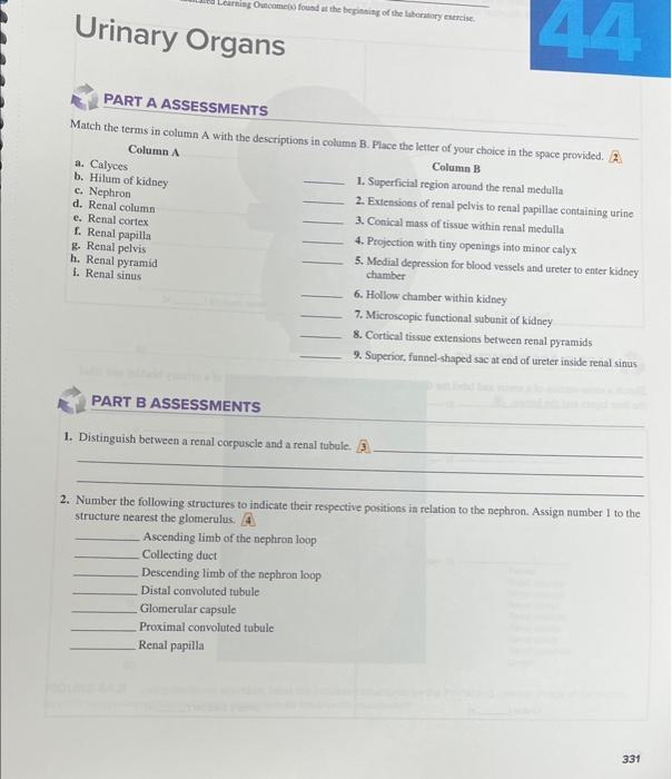 Solved FIGURE 44.1 Label th major organs of the urinar | Chegg.com