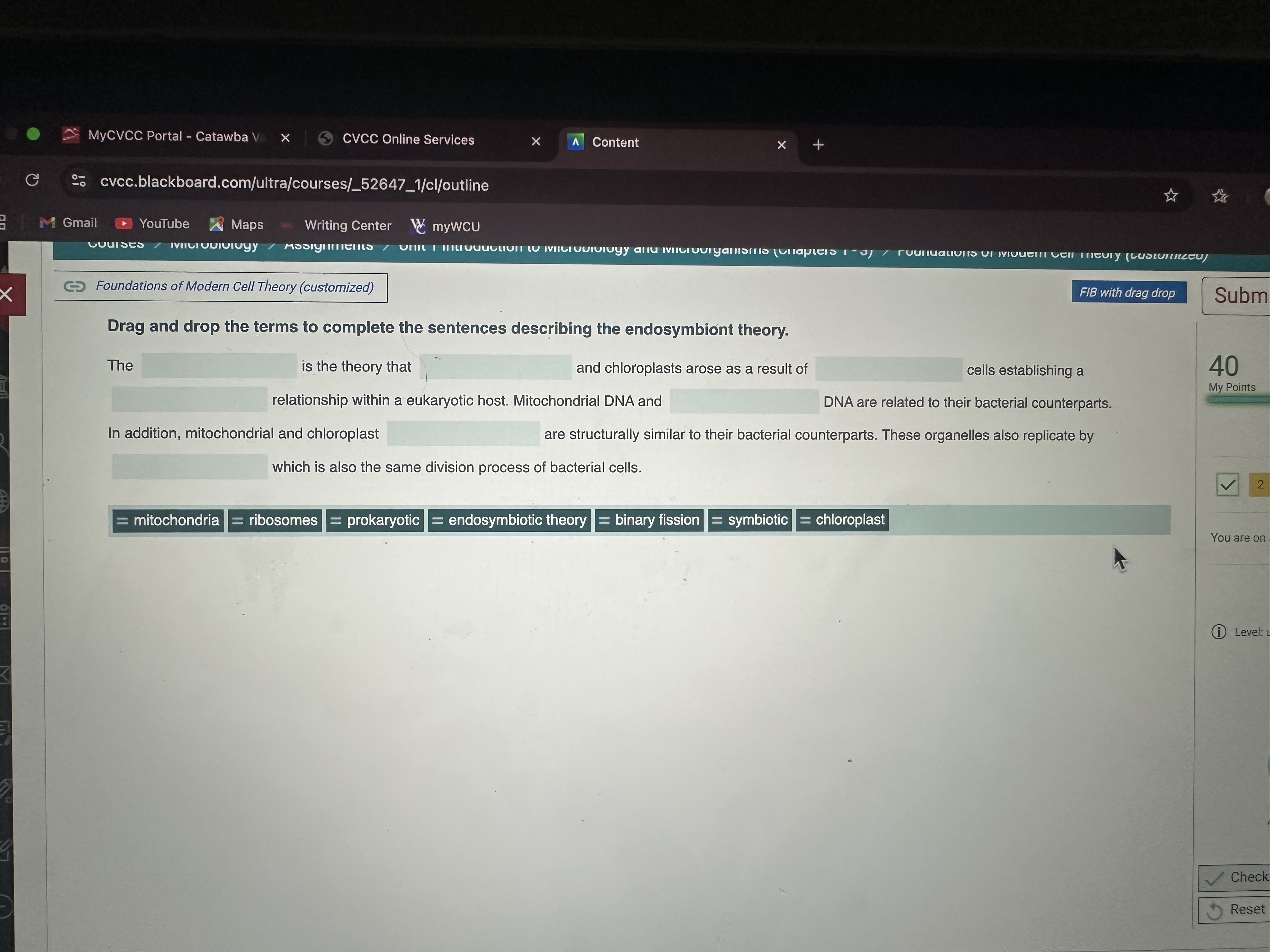 Solved Drag and drop the terms to complete the sentences | Chegg.com