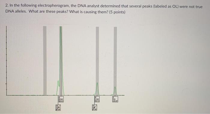 Solved 2. In the following electropherogram, the DNA analyst | Chegg.com