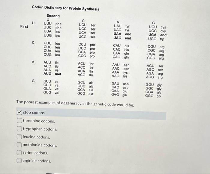 Solved Codon Dictionary for Protein Synthesis The poorest | Chegg.com