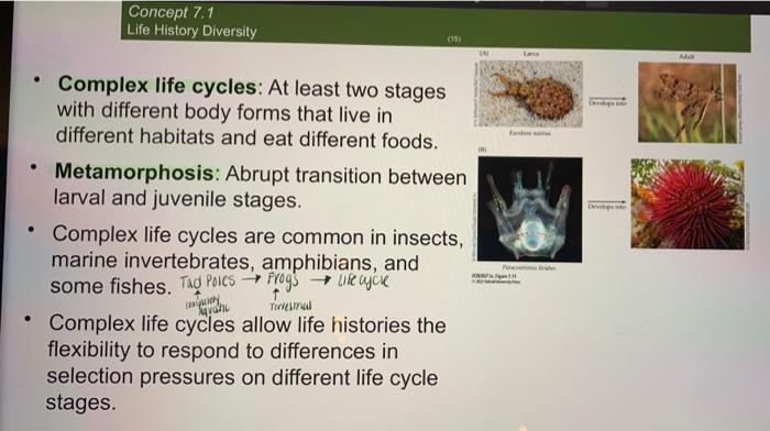 - Complex life cycles: At least two stages with | Chegg.com