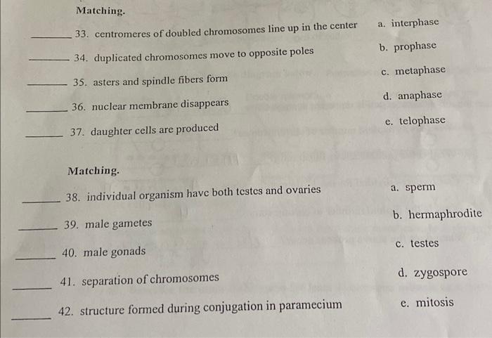 Solved Matching. 33. centromeres of doubled chromosomes line | Chegg.com