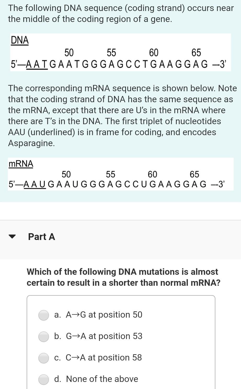 Solved The following DNA sequence (coding strand) occurs | Chegg.com