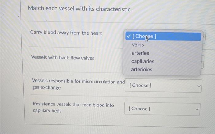 Solved Match each vessel with its characteristic. Carry | Chegg.com