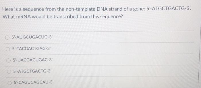 Solved Here is a sequence from the non-template DNA strand | Chegg.com