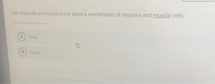 Solved lon channels are found in the plasma membranes of | Chegg.com