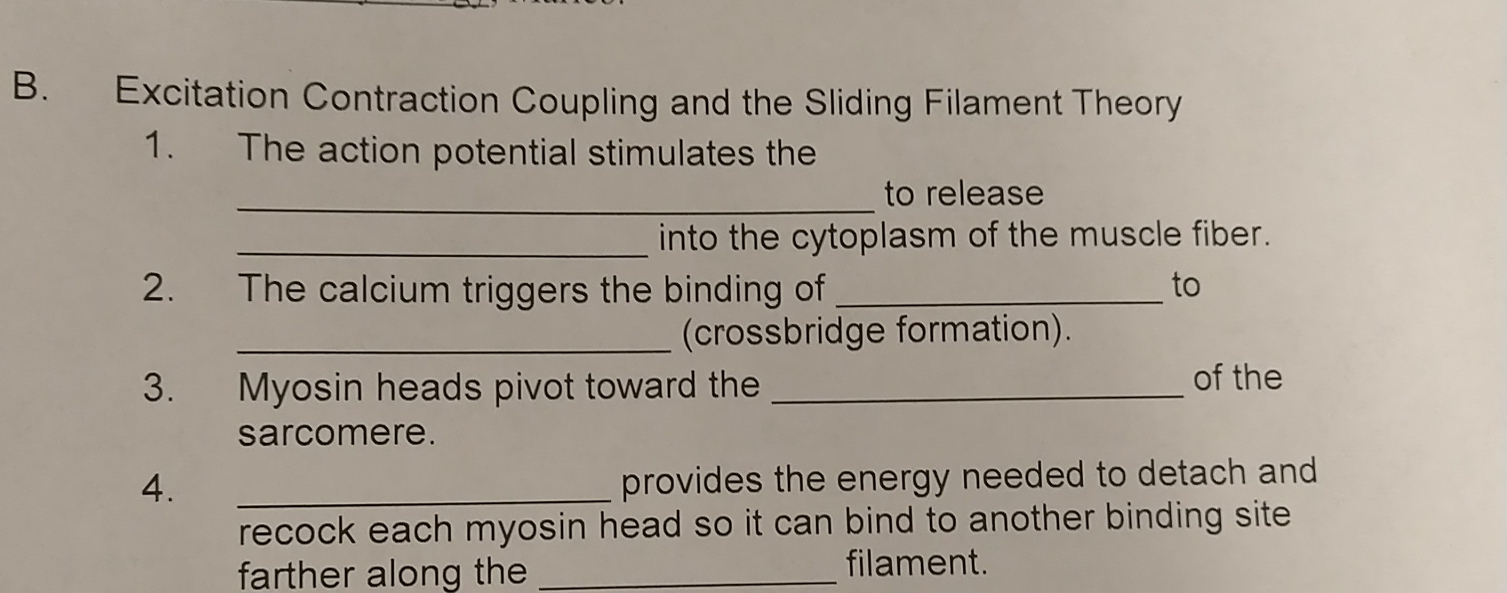 Solved B. ﻿Excitation Contraction Coupling and the Sliding | Chegg.com