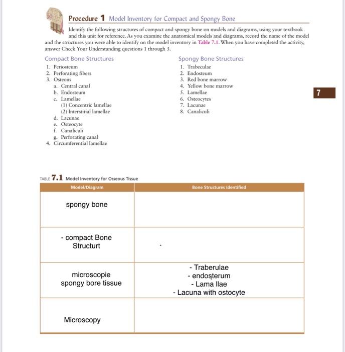 Solved Procedure 1 Model Inventory for Compact and Spongy | Chegg.com