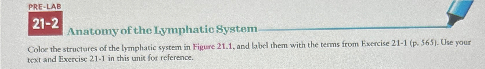 Solved PRE-LAB21-2 ﻿Anatomy of the Lymphatic SystemColor the | Chegg.com