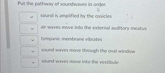Solved Put the pathway of soundwaves in order. sound is | Chegg.com