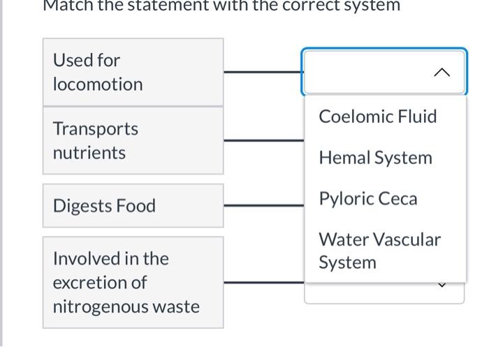 Solved Match the statement with the correct system Used for | Chegg.com