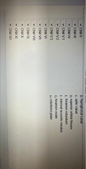 Solved Match the cranial nerves (listed by number only) to | Chegg.com