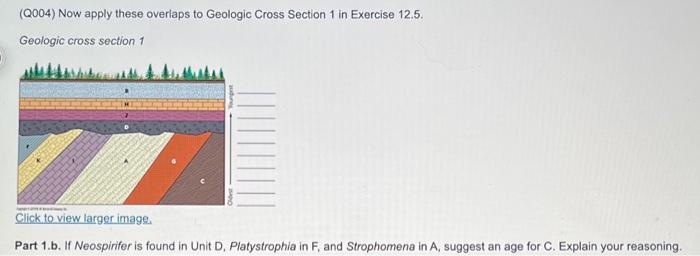 Solved (2004) Now apply these overlaps to Geologic Cross | Chegg.com