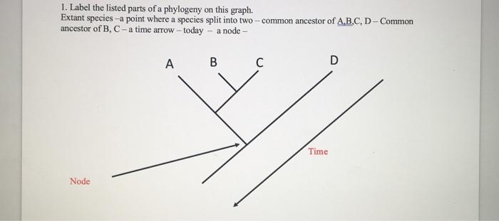 Solved Label the parts of phenology of this graph including | Chegg.com