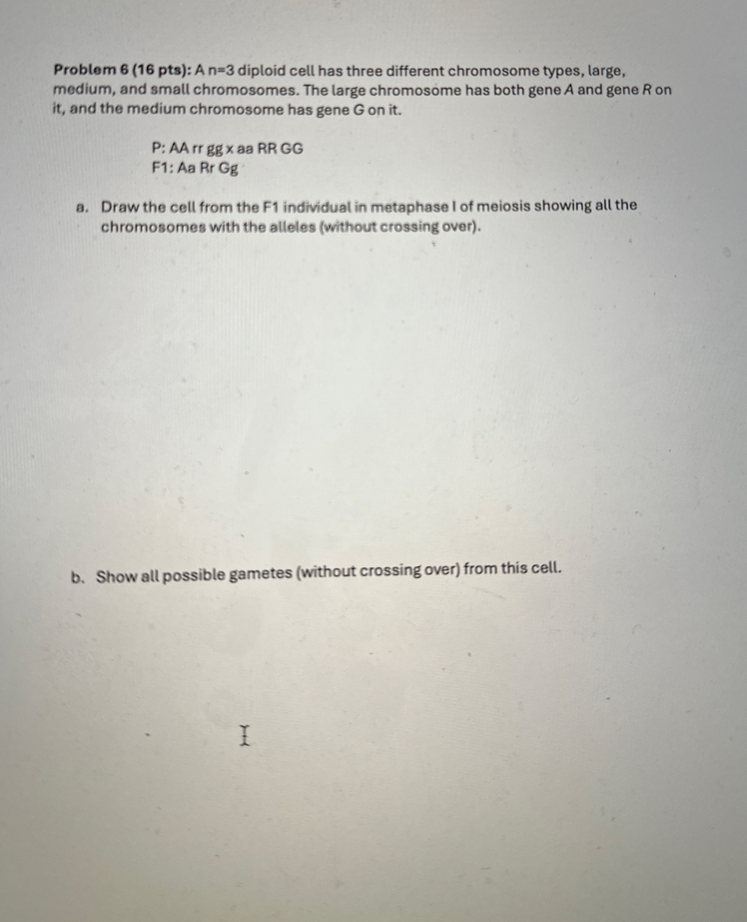 Solved Problem 6 ( 16 ﻿pts): A n=3 ﻿diploid cell has three | Chegg.com