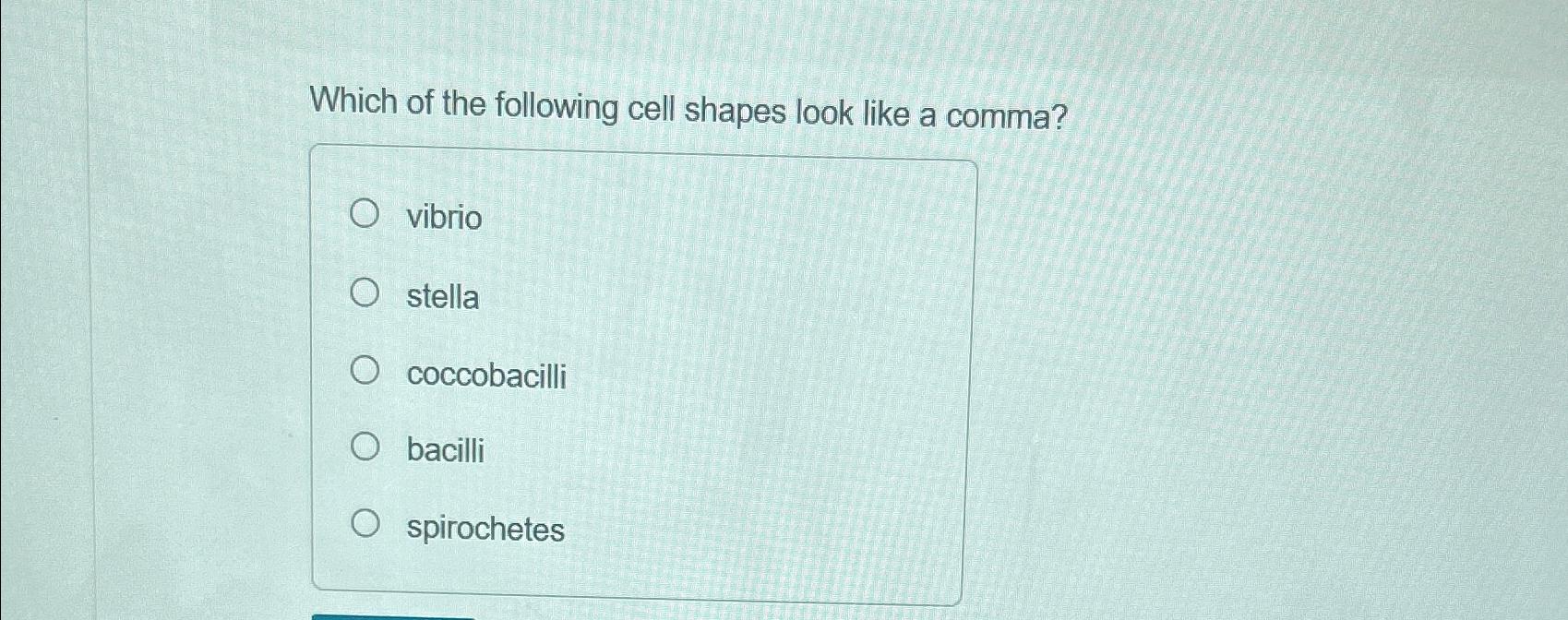Solved Which of the following cell shapes look like a | Chegg.com