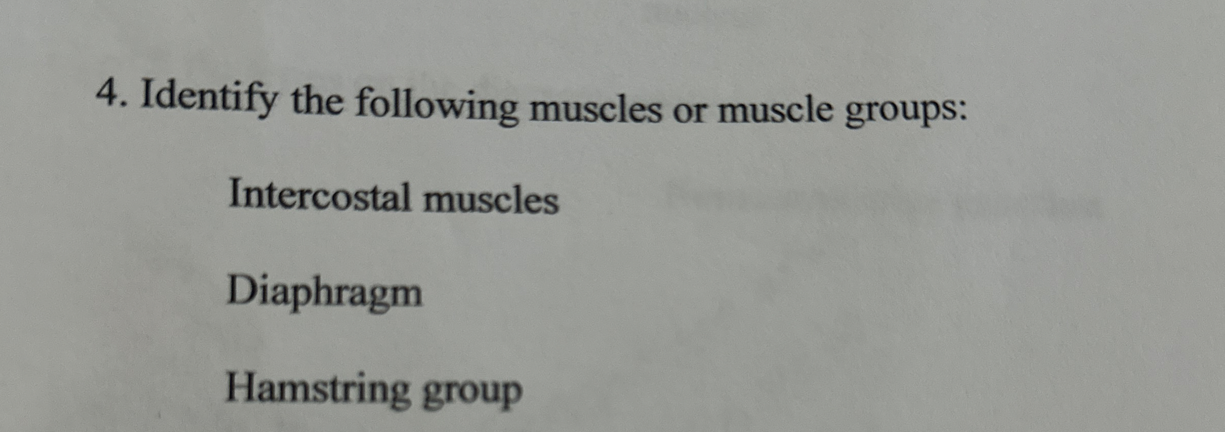 Solved Identify the following muscles or muscle | Chegg.com