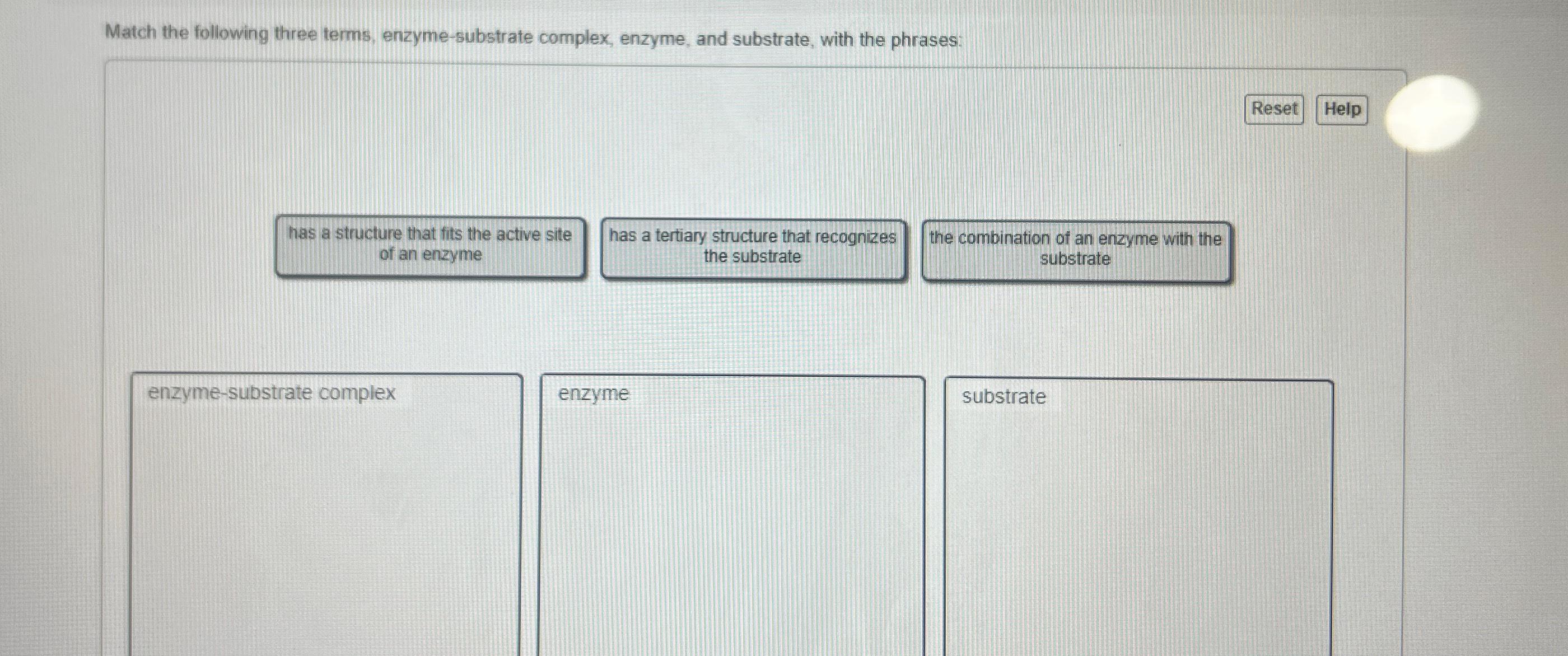 Solved Match the following three terms, enzyme-substrate | Chegg.com