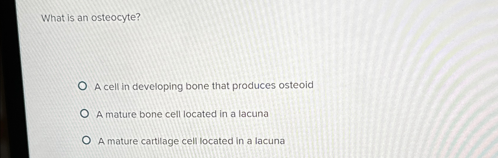 Solved What is an osteocyte?A cell in developing bone that | Chegg.com