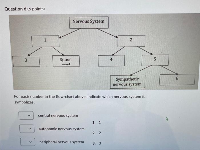 Solved Question 6 (6 points) For each number in the | Chegg.com