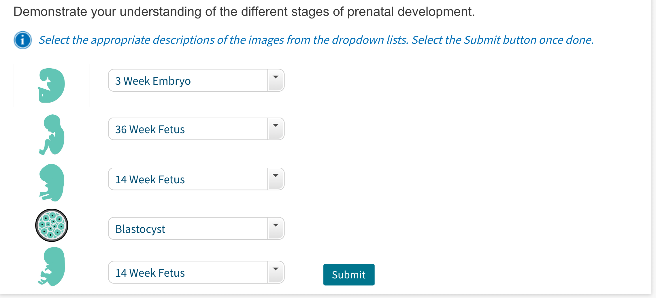 Solved Demonstrate your understanding of the different | Chegg.com