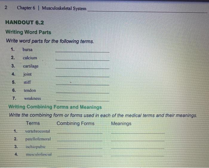Solved 2 Chapter 6 | Musculoskeletal System HANDOUT 6.2 | Chegg.com