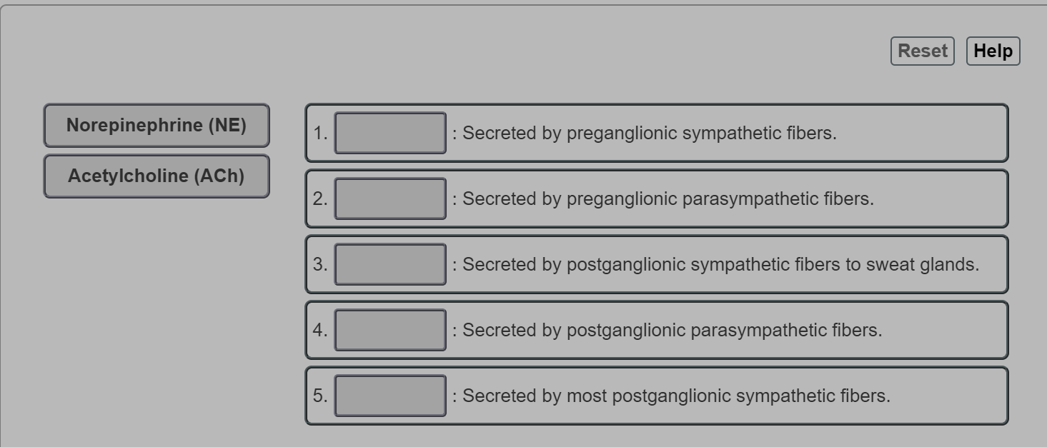 Solved Secreted By Preganglionic Sympathetic Fibers