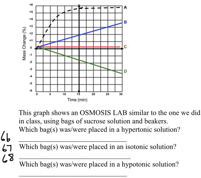 Solved Mass Change (%) 5 20 25 30 10 15 Time (min) This | Chegg.com