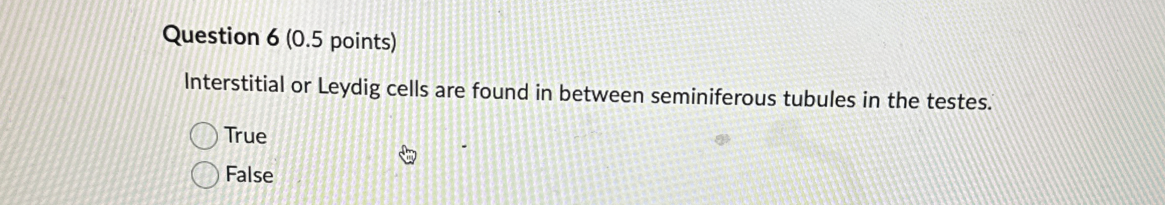 Solved Question 6 ( 0.5 ﻿points)Interstitial or Leydig cells | Chegg.com
