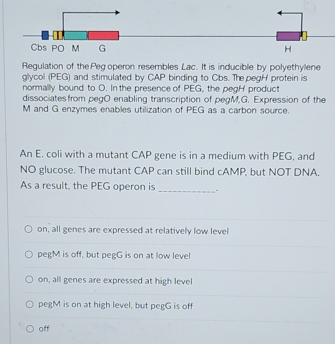 Solved Regulation of the Peg operon resembles Lac. It is | Chegg.com