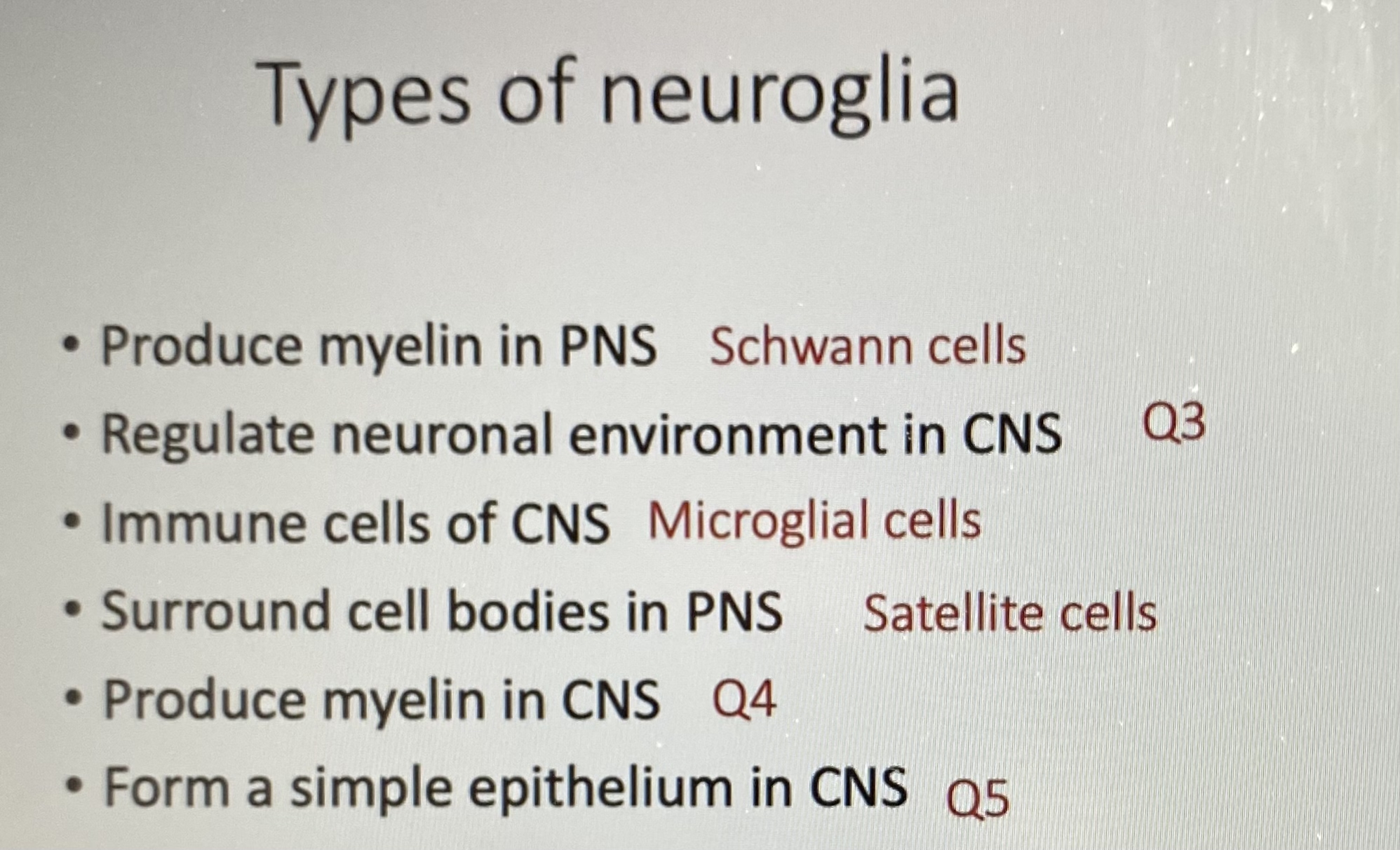 Solved Identify the types of neuroglia listed for q3, ﻿q4, | Chegg.com