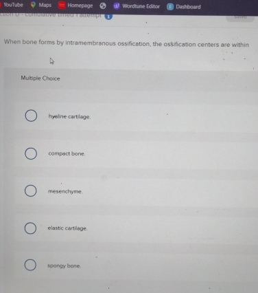 Solved YouTubeMapsHomepageWordtune EditarDastheardWhen bone | Chegg.com