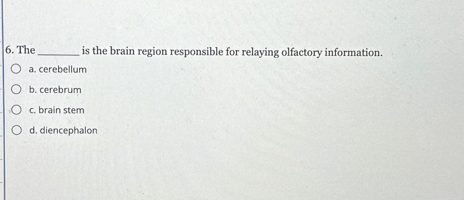Solved The is the brain region responsible for relaying | Chegg.com