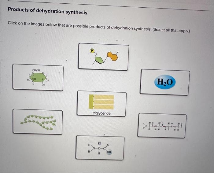 Solved Products of dehydration synthesis Click on the images | Chegg.com