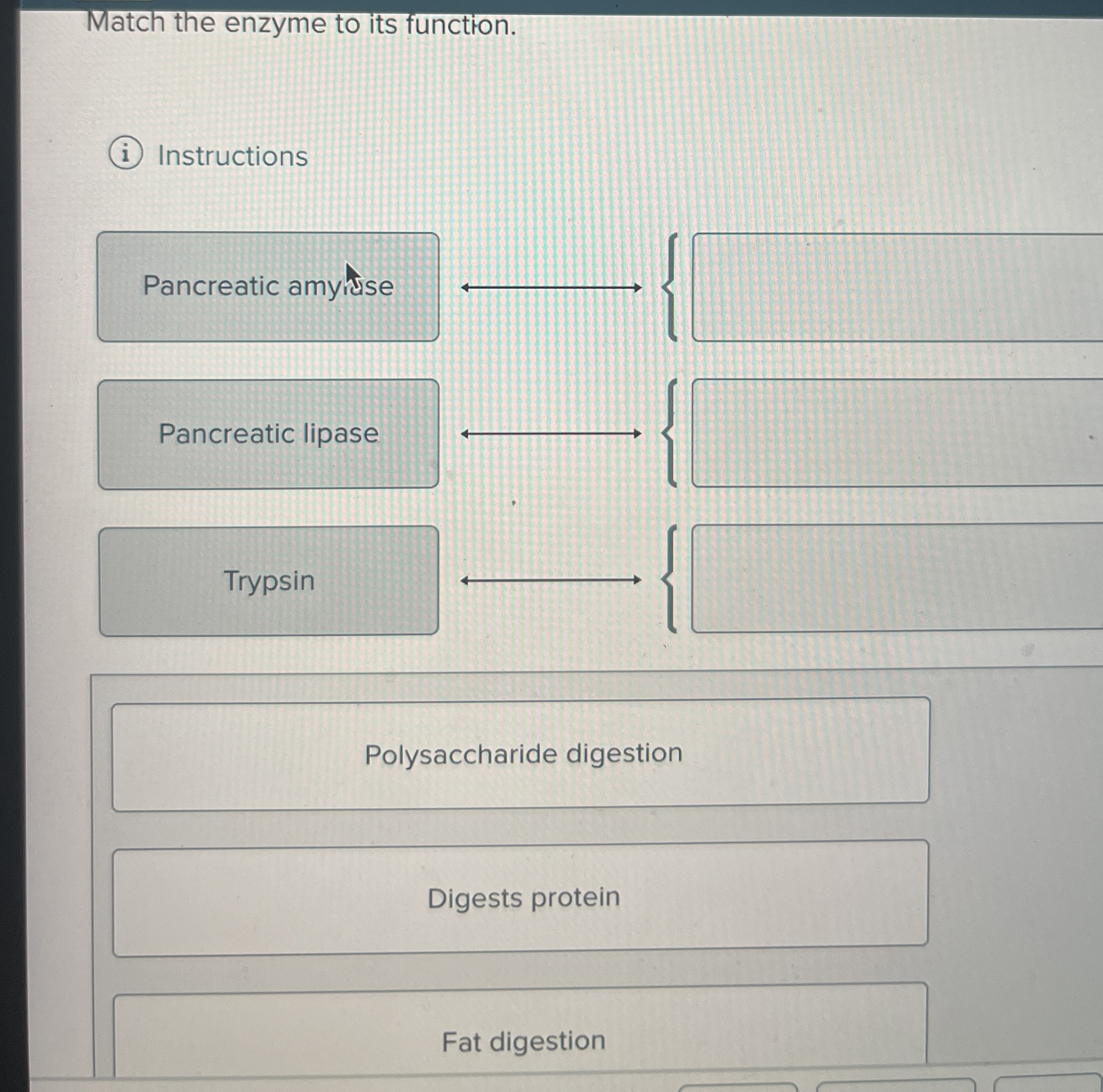 Solved Match the enzyme to its function. | Chegg.com