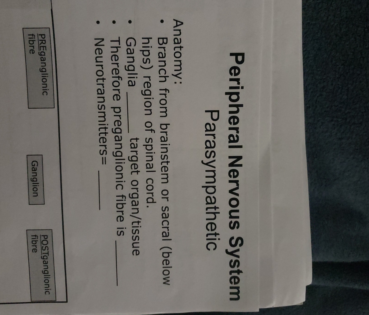 Solved Peripheral Nervous | Chegg.com