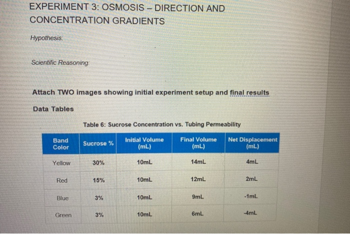 Solved Experiment 3 Osmosis Direction And Concentration
