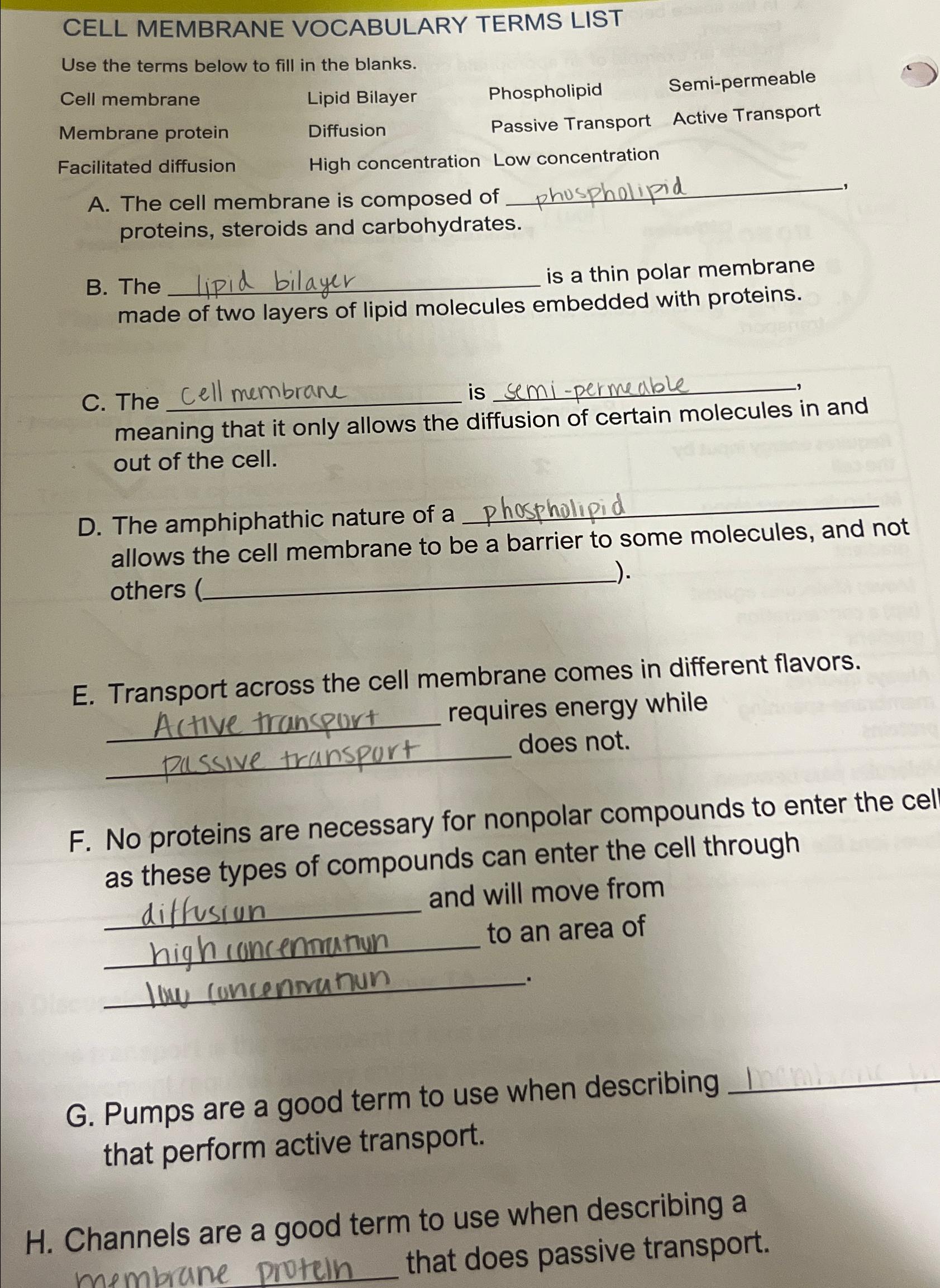 Solved CELL MEMBRANE VOCABULARY TERMS LISTUse the terms | Chegg.com