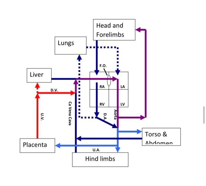 Solved 1.Prepare a flowchart in your notebook showing the | Chegg.com