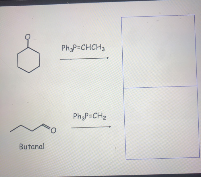 Solved Ph3P=CHCH3 Ph3P=CH2 Butanal | Chegg.com