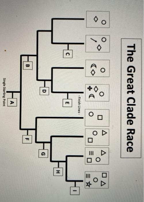 The Great Clade Race 0 A 0 0 이 Finish Lines C E H D G | Chegg.com