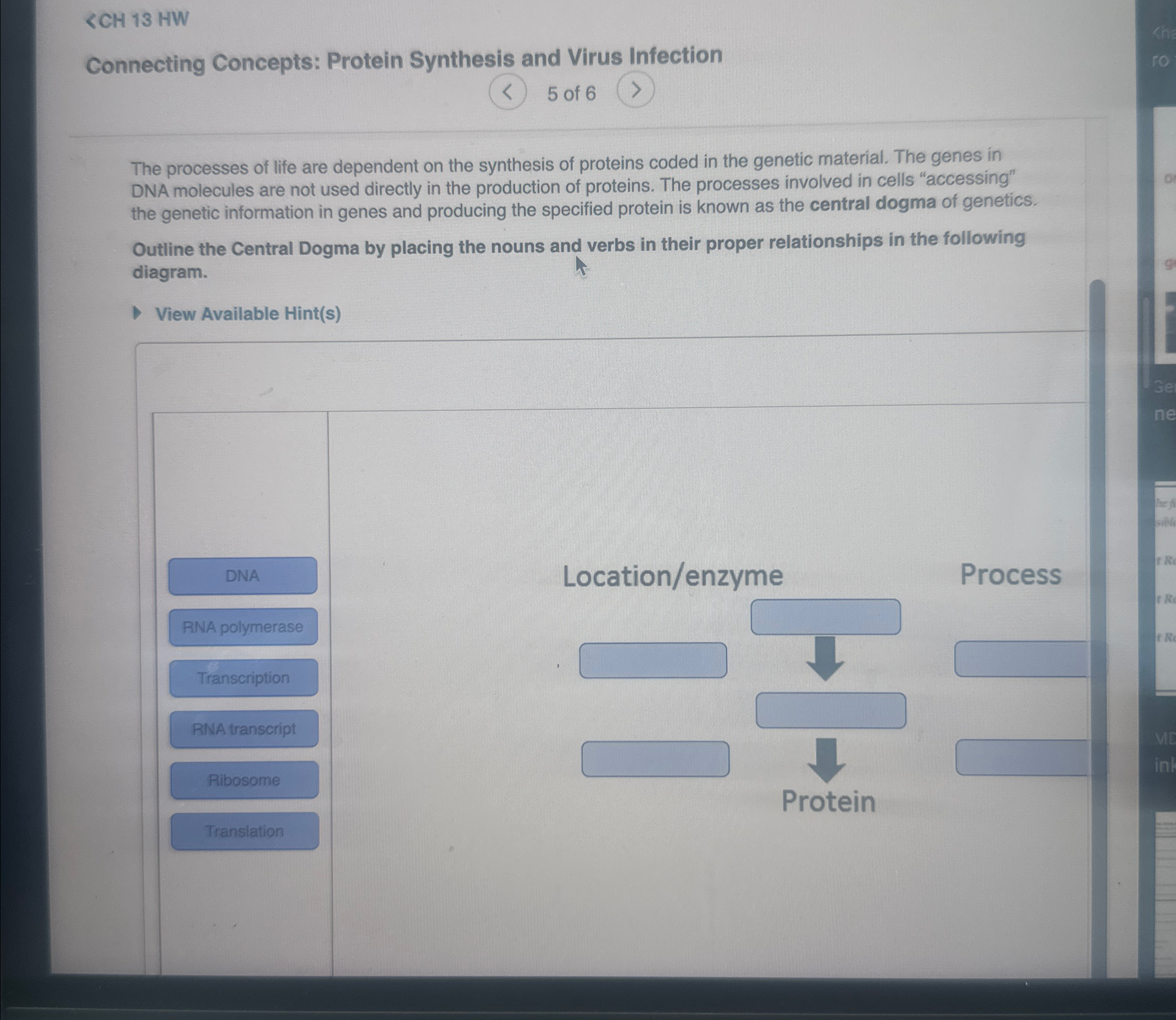 Solved Connecting Concepts: Protein Synthesis and Virus | Chegg.com